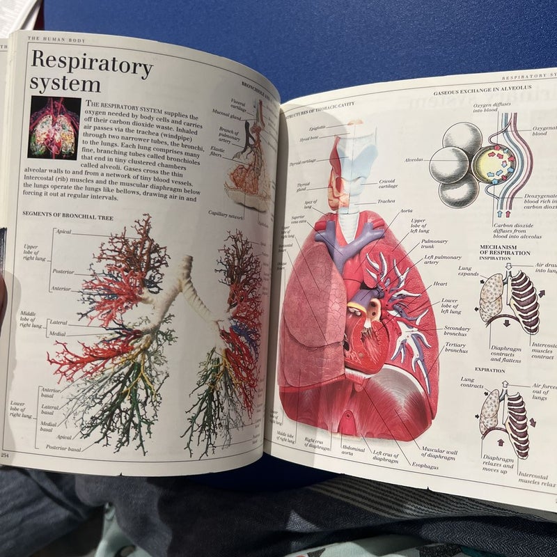 Ultimate Visual Dictionary