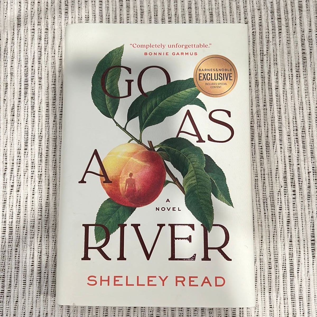 Go As A River by Shelley Read, Hardcover | Pangobooks