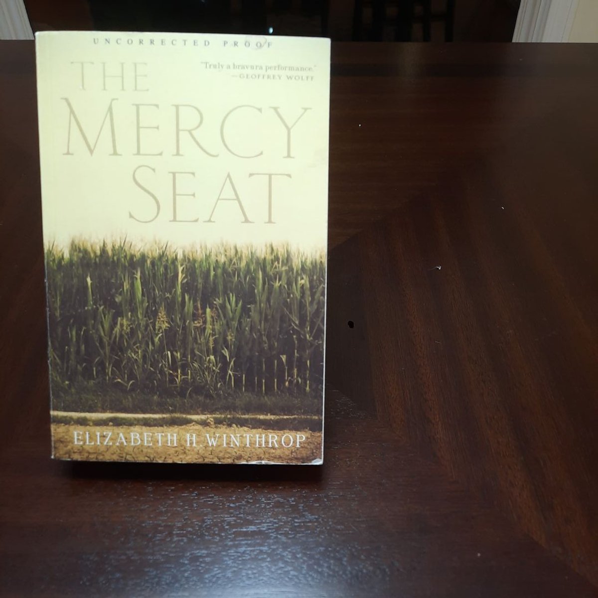 The Mercy Seat by Elizabeth H. Winthrop