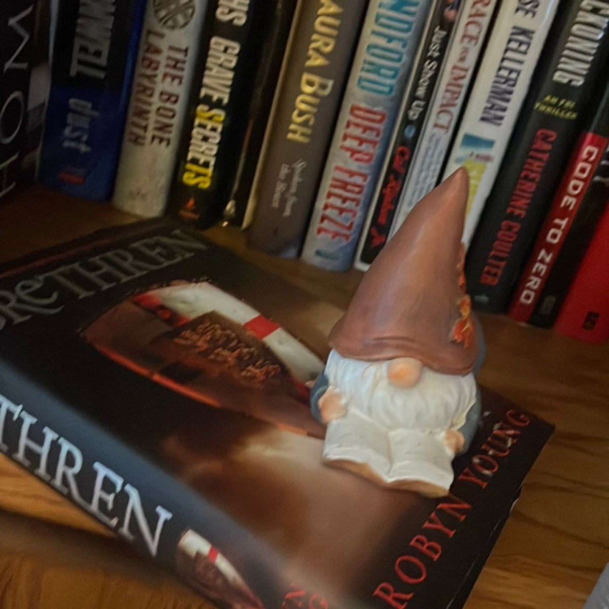 Brethren by Robyn Young