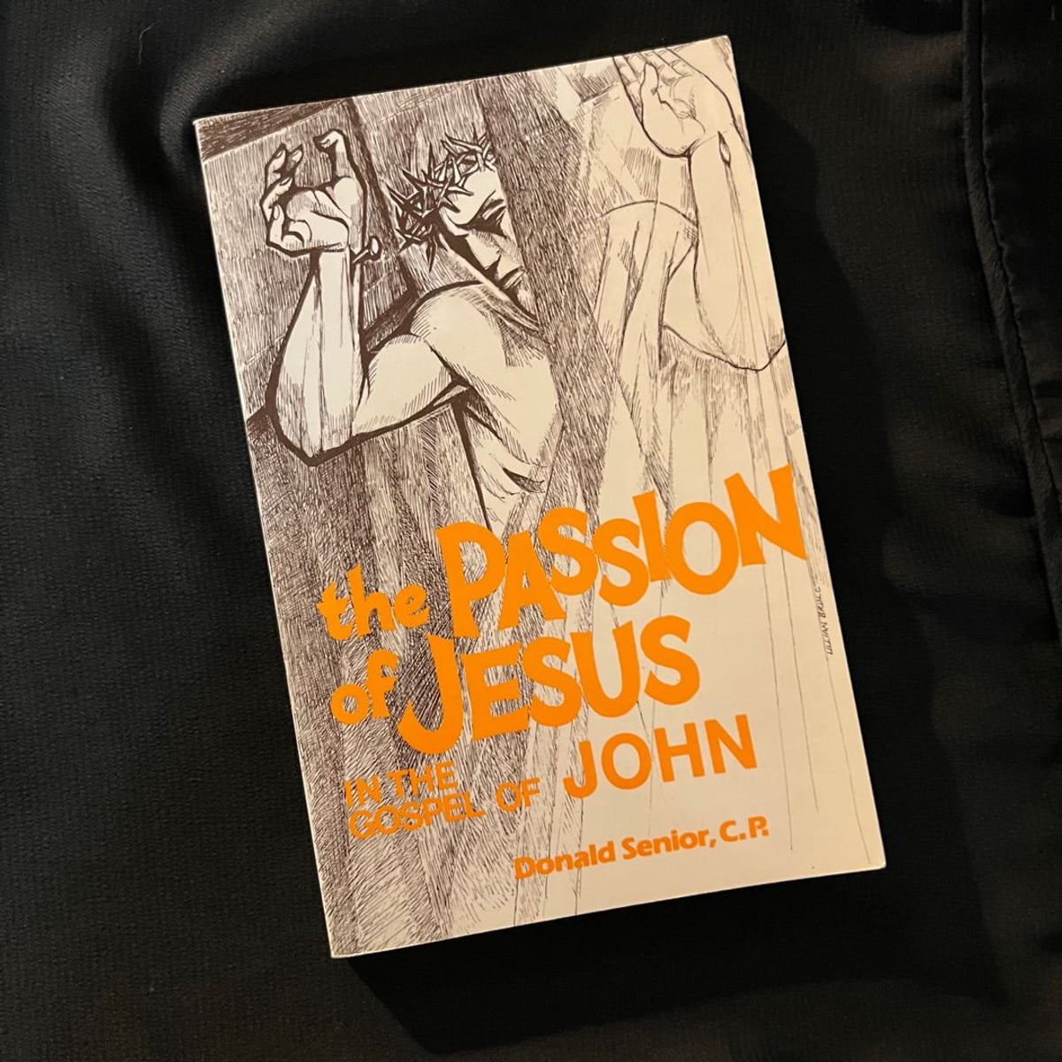 The Passion of Jesus in the Gospel of John by Donald Senior