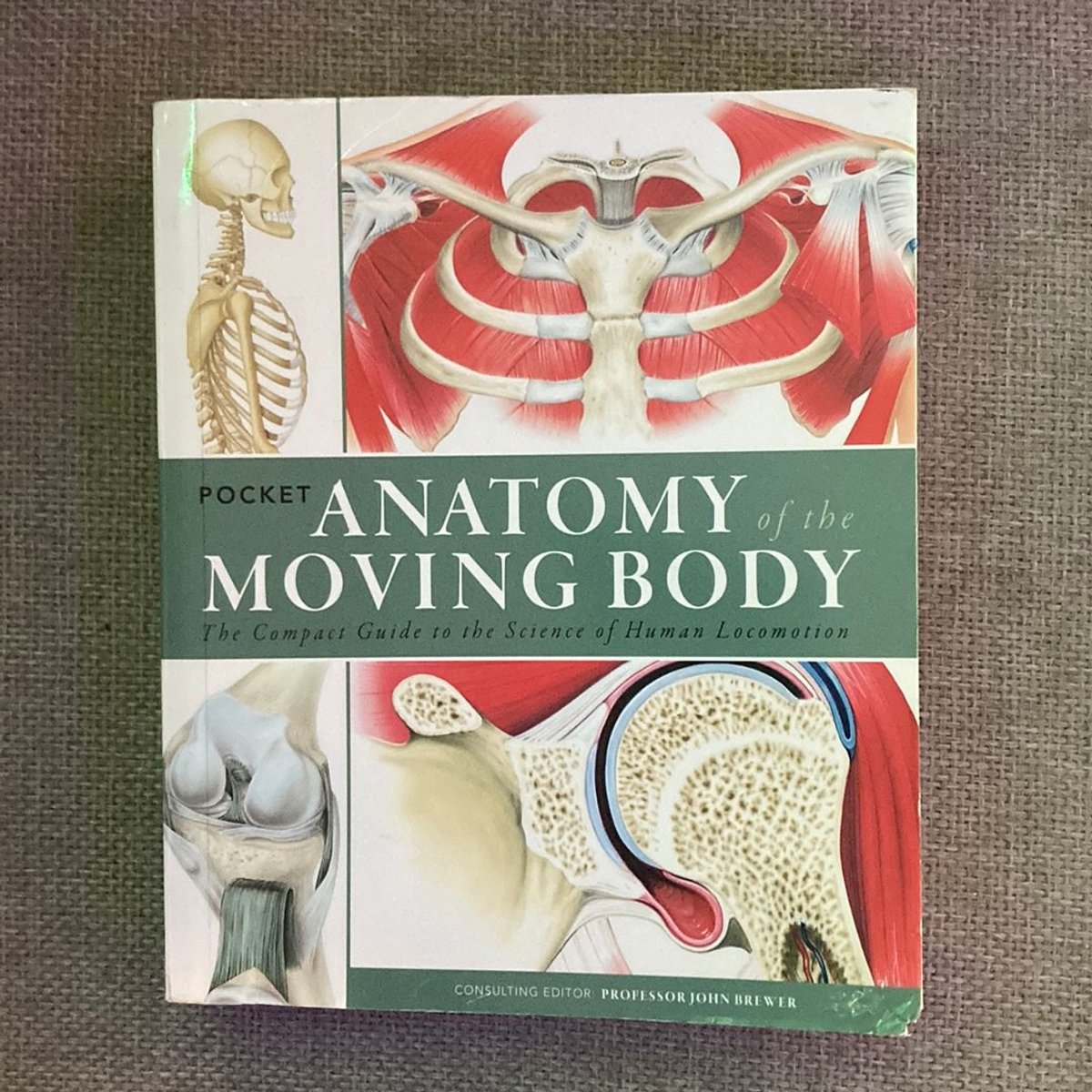 Pocket Anatomy of the Moving Body by John Brewer, Michael Baker, Elaine ...