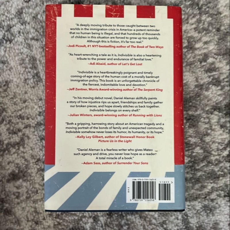 Indivisible by Daniel Aleman