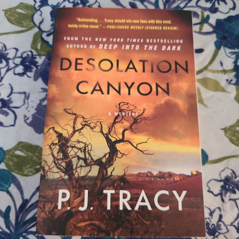 Desolation Canyon by P. J. Tracy
