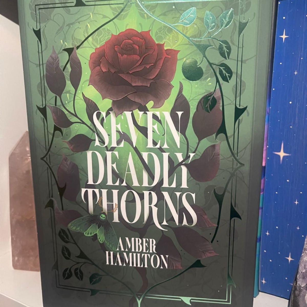 Seven Deadly Thorns by Amber Hamilton, Hardcover | Pangobooks
