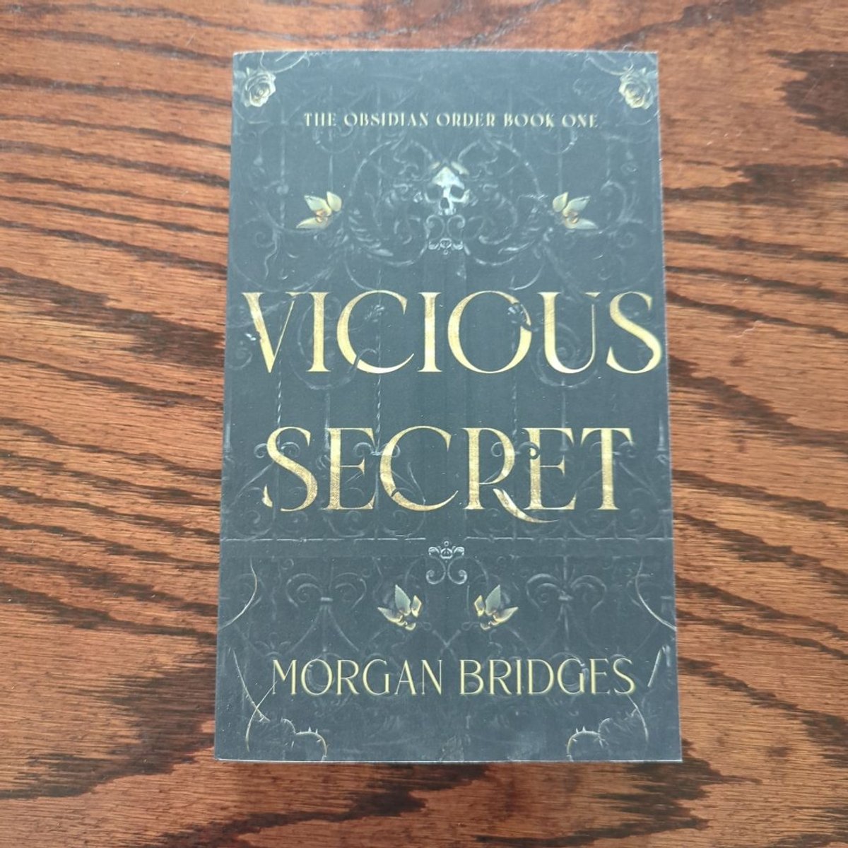 Vicious Secret by Morgan Bridges