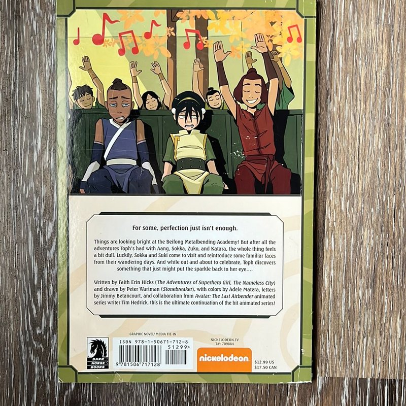 Avatar: the Last Airbender - Toph Beifong's Metalbending Academy by ...