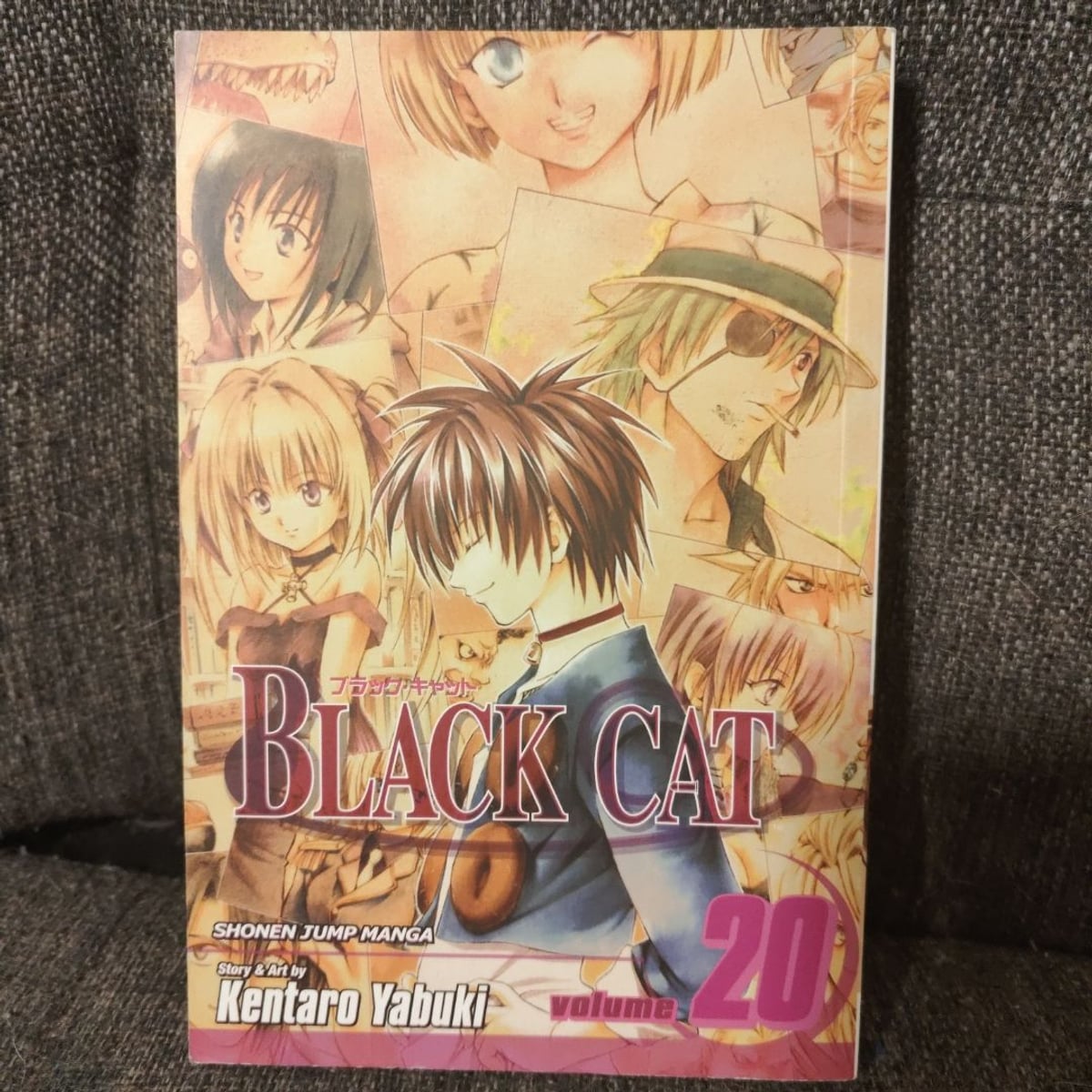 Black Cat, Vol. 20 by Kentaro Yabuki