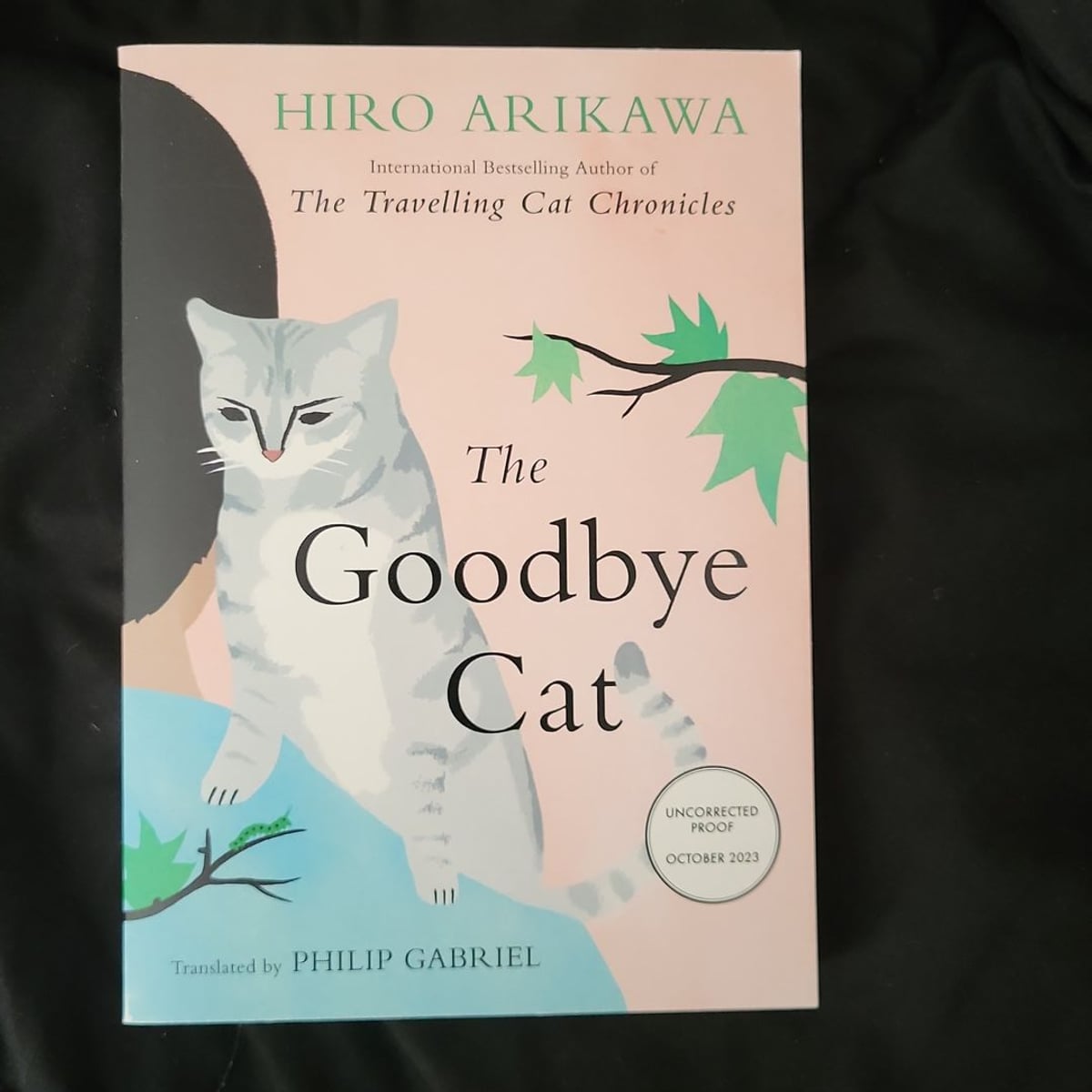 The Goodbye Cat by Hiro Arikawa, Hardcover | Pangobooks