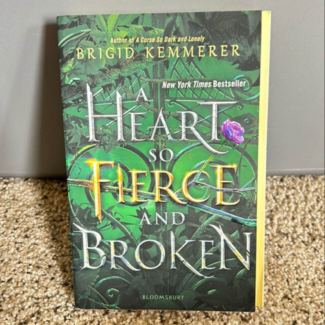 A Heart So Fierce and Broken by Brigid Kemmerer, Paperback | Pangobooks