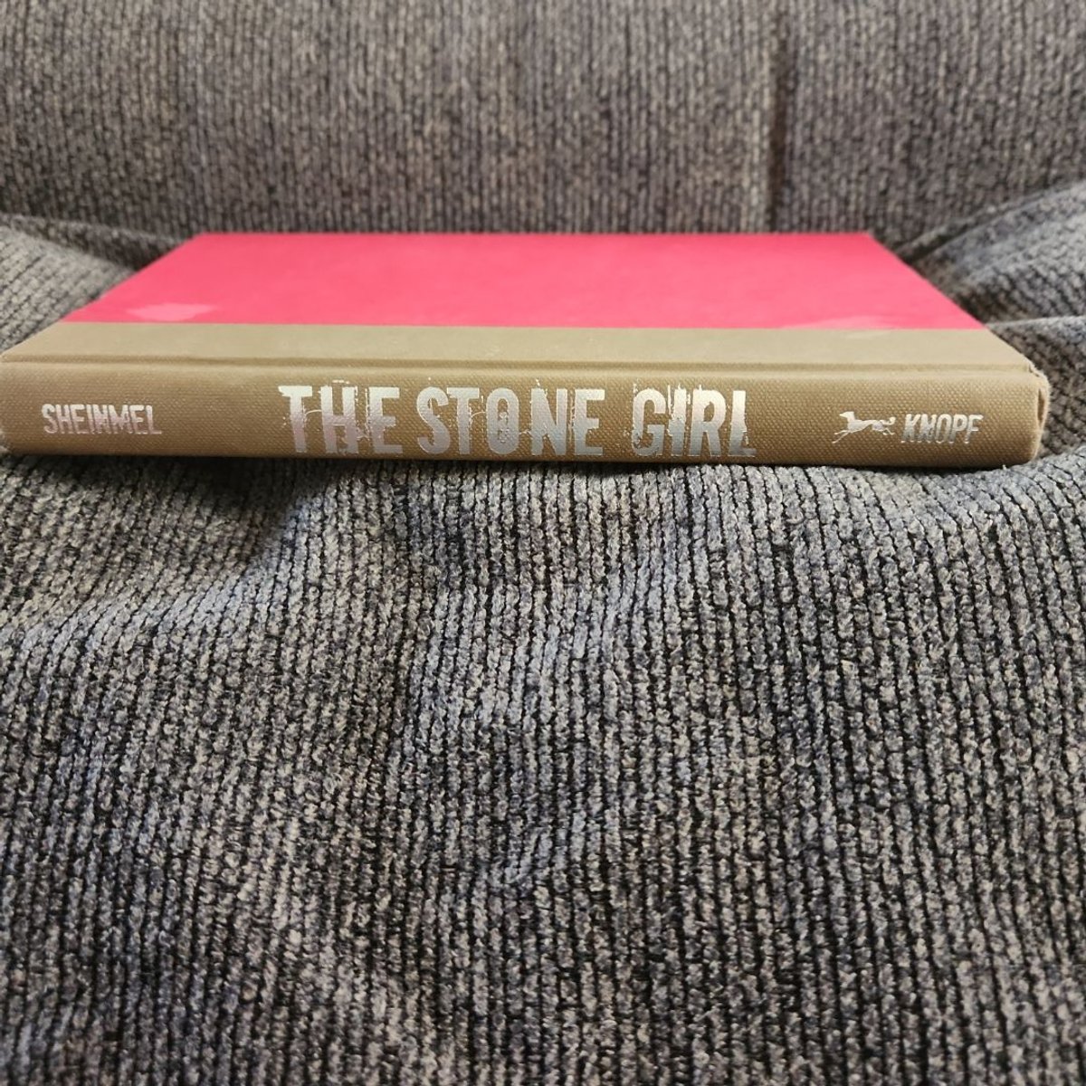 The Stone Girl by Alyssa B. Sheinmel