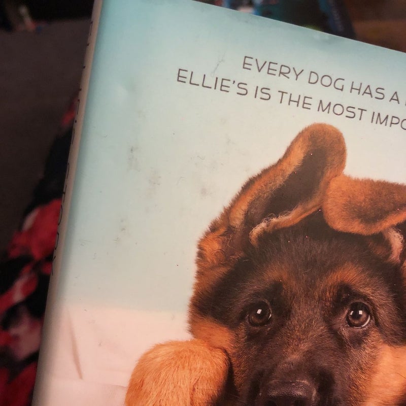 Ellie's Story by W. Bruce Cameron, Hardcover | Pangobooks