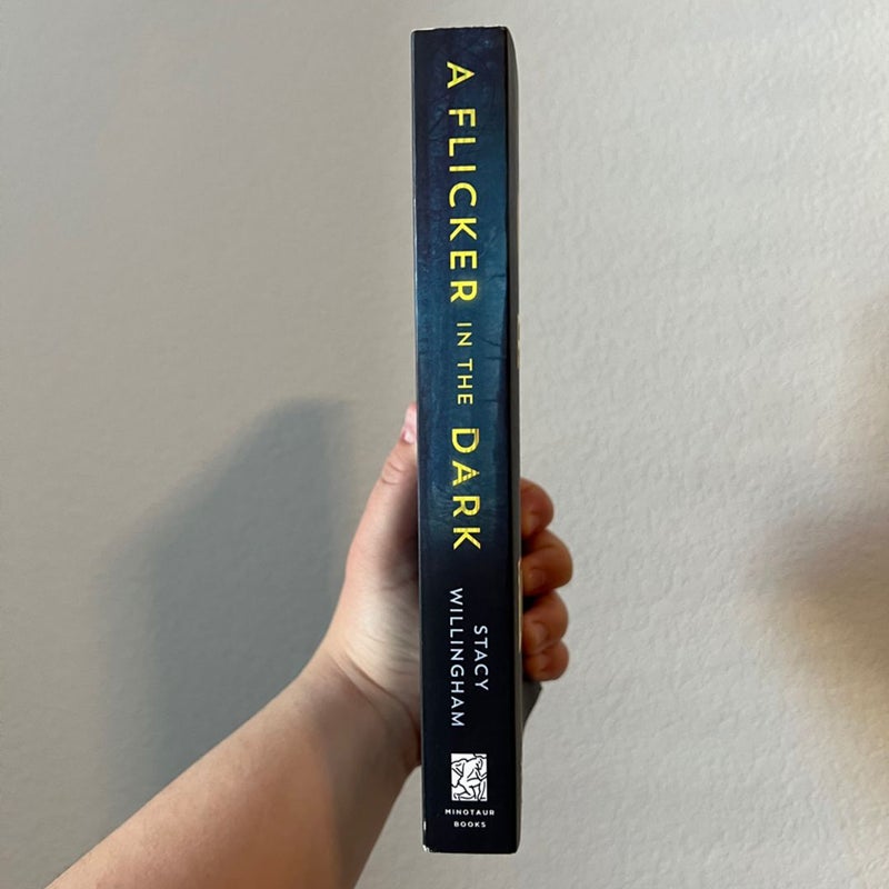 A flicker in the dark by Stacy Willingham, Paperback | Pangobooks