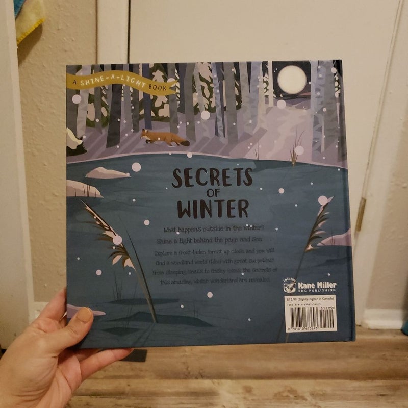 Secrets of Winter by Carron Brown, Hardcover | Pangobooks