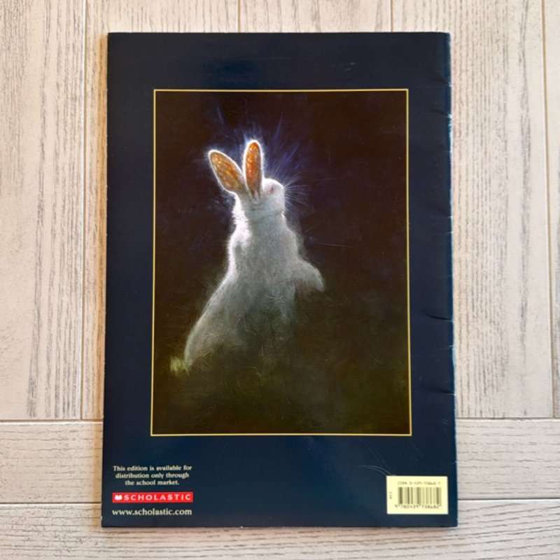 The Magic Rabbit by Richard Jesse Watson, Paperback | Pangobooks
