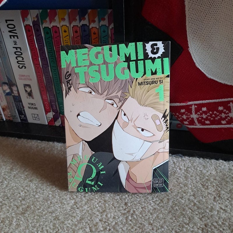 Megumi and Tsugumi, Vol. 1 by Mitsuru Si, Paperback | Pangobooks