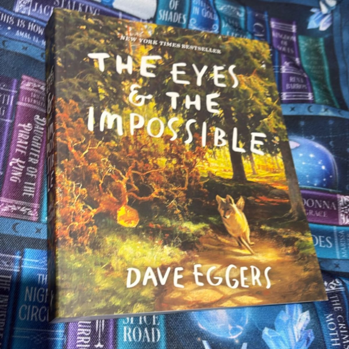The Eyes and the Impossible by Dave Eggers