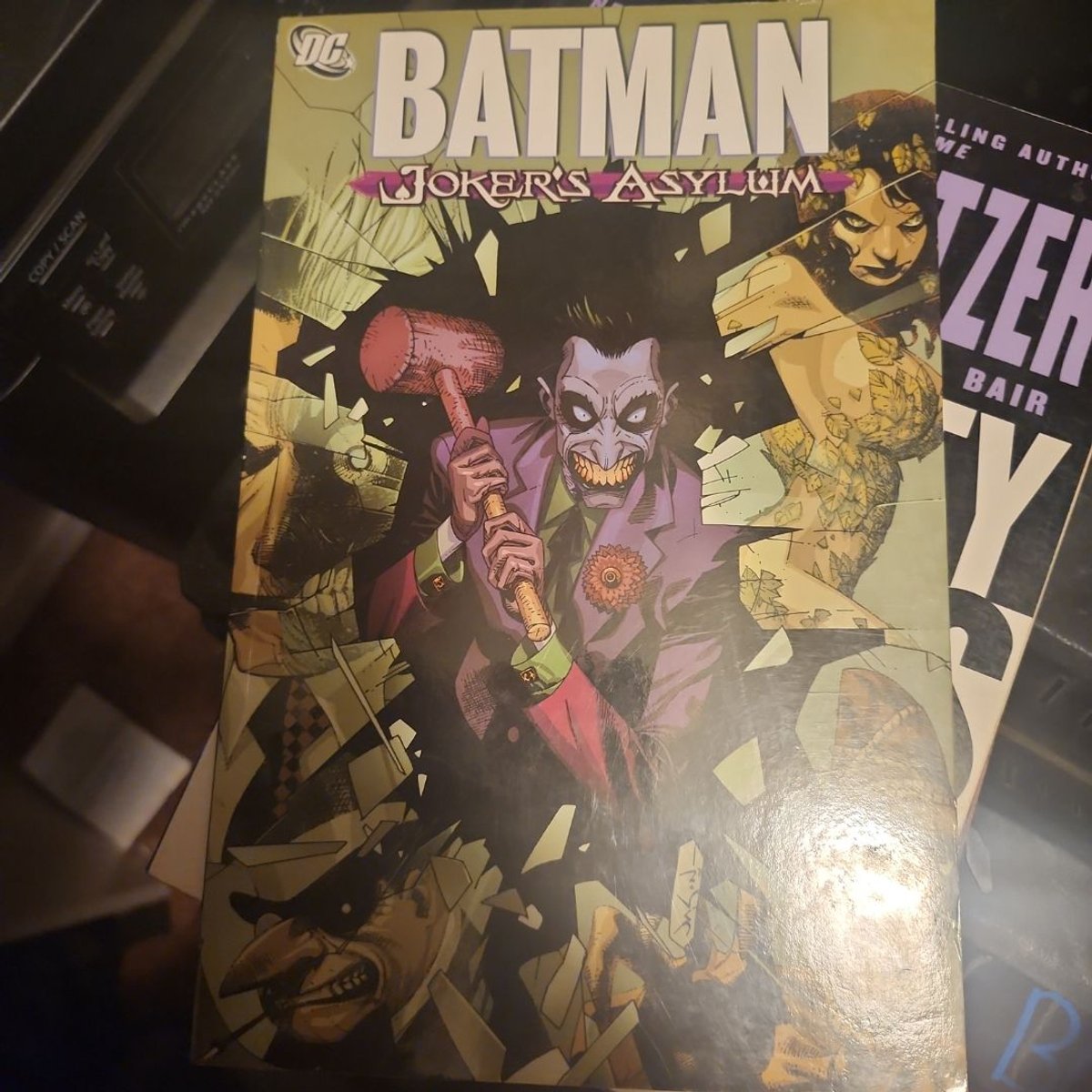 Batman: Joker's Asylum by Arvid Nelson, Rob Leigh, Bob Kane, Alex ...