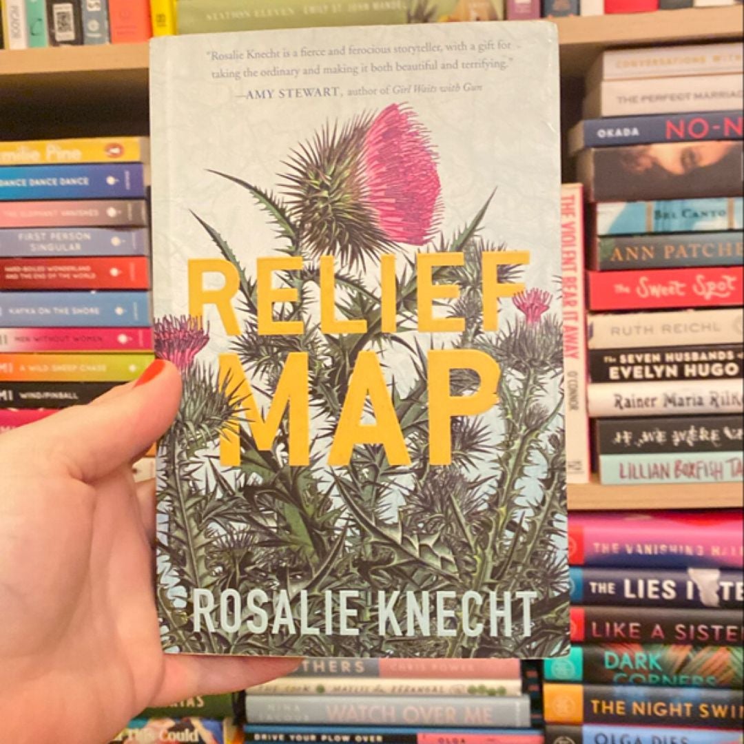 Relief Map by Rosalie Knecht