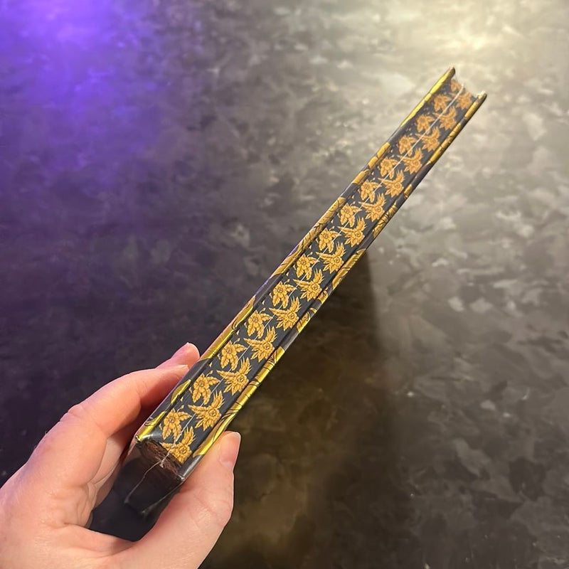 Wings Once Cursed and Bound by Piper J. Drake, Hardcover | Pangobooks