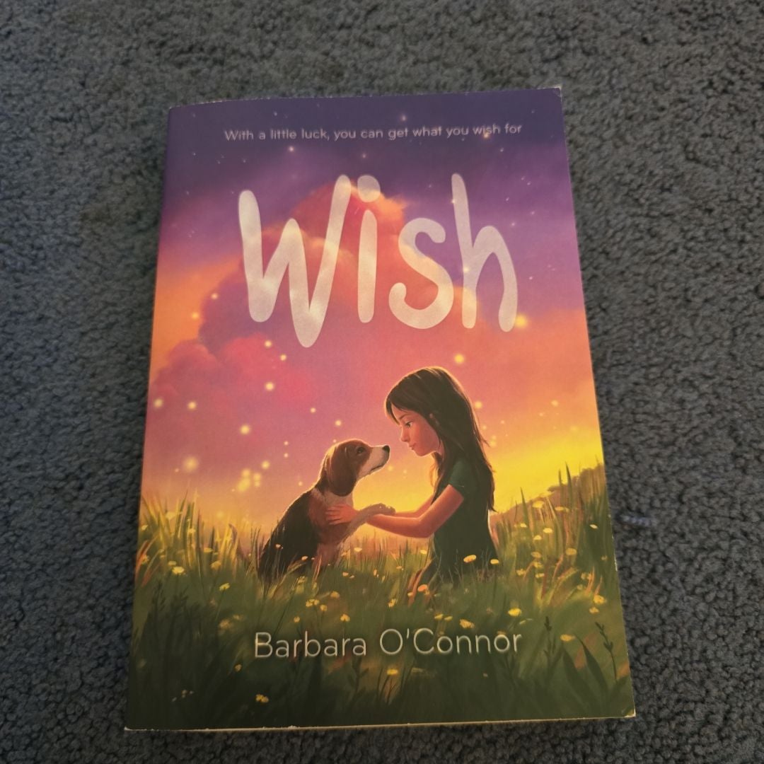 Wish by Barbara O'Connor, Paperback | Pangobooks