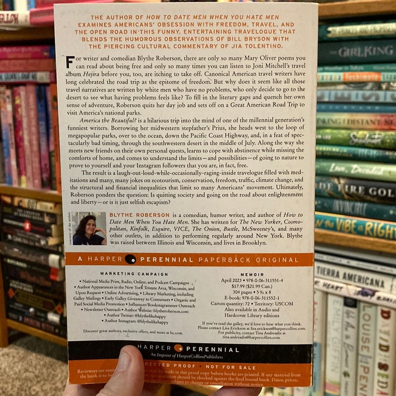 America the Beautiful? by Blythe Roberson