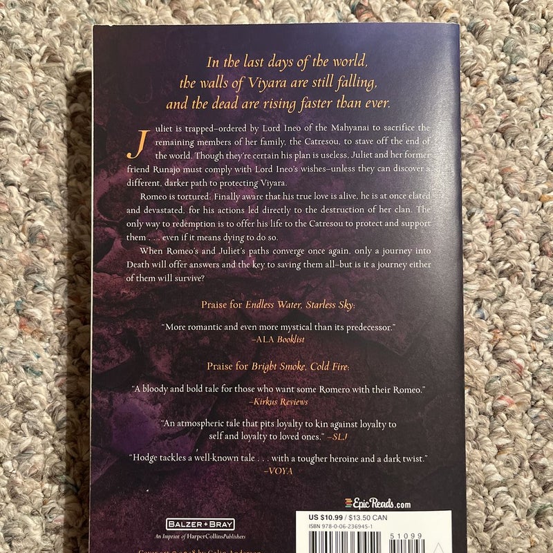 Endless Water, Starless Sky by Rosamund Hodge