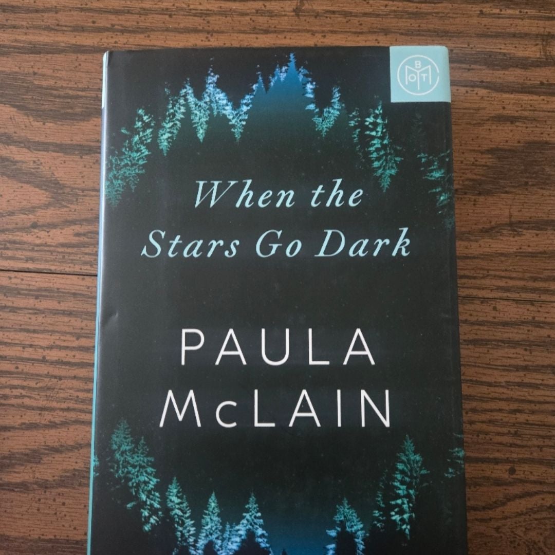 When the Stars Go Dark by Paula McLain, Hardcover | Pangobooks
