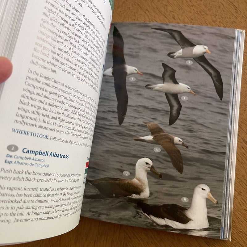 Antarctic Wildlife by James Lowen, Paperback | Pangobooks