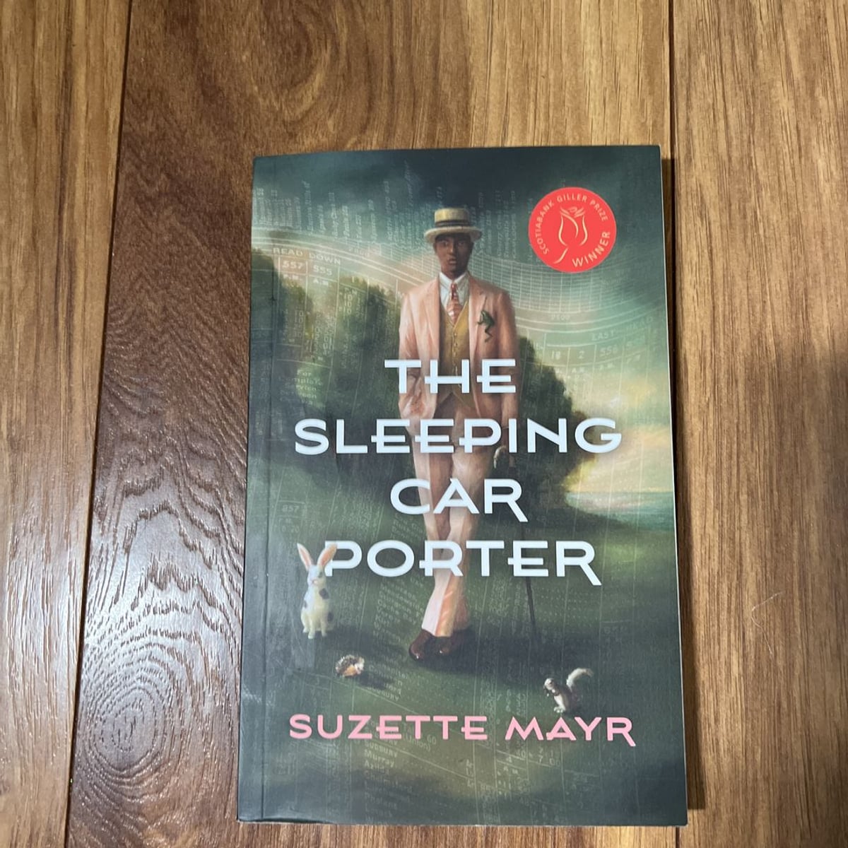 The Sleeping Car Porter by Suzette Mayr, Paperback | Pangobooks