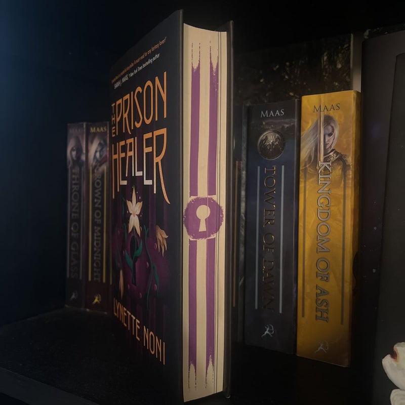 The Prison Healer by , Hardcover | Pangobooks