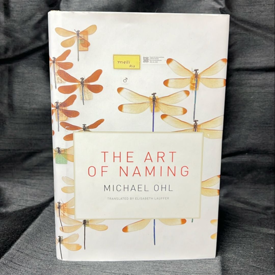 The Art of Naming by Michael Ohl, Elisabeth Lauffer