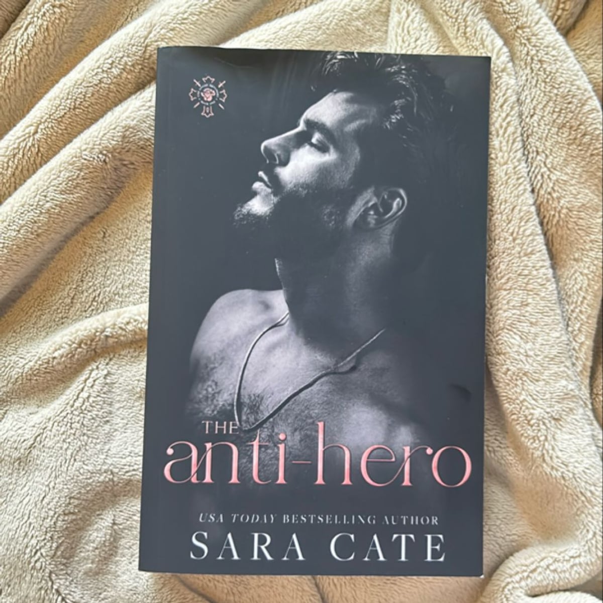 The Anti-Hero by Sara Cate, Paperback | Pangobooks