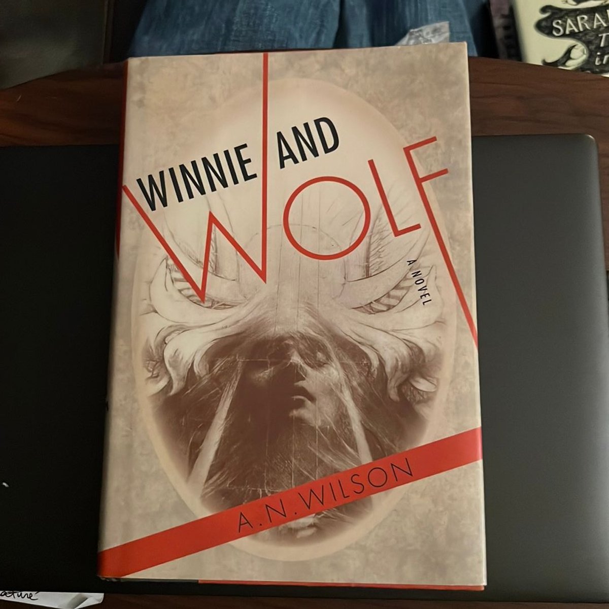 Winnie and Wolf by A. N. Wilson, Hardcover | Pangobooks