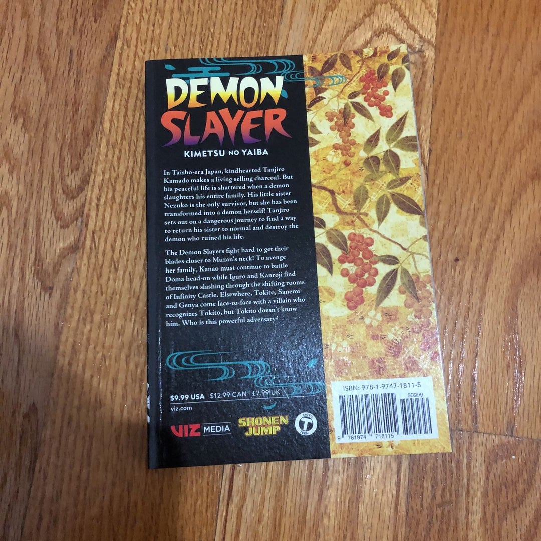 Demon Slayer: Kimetsu No Yaiba, Vol. 19 by Koyoharu Gotouge, Paperback | Pangobooks