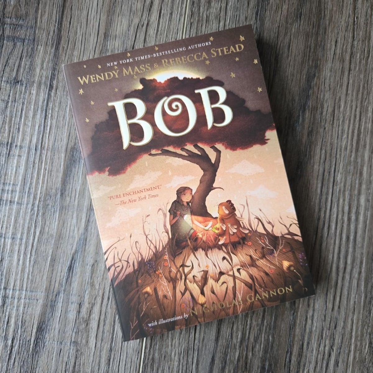 Bob by Wendy Mass, Rebecca Stead