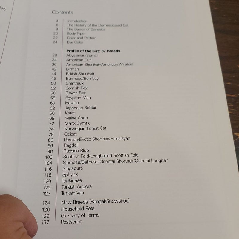 Legacy of the Cat by Tetsu Yamazaki, Gloria Stephens