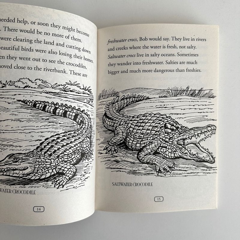 Who Was Steve Irwin? by Dina Anastasio, Paperback | Pangobooks