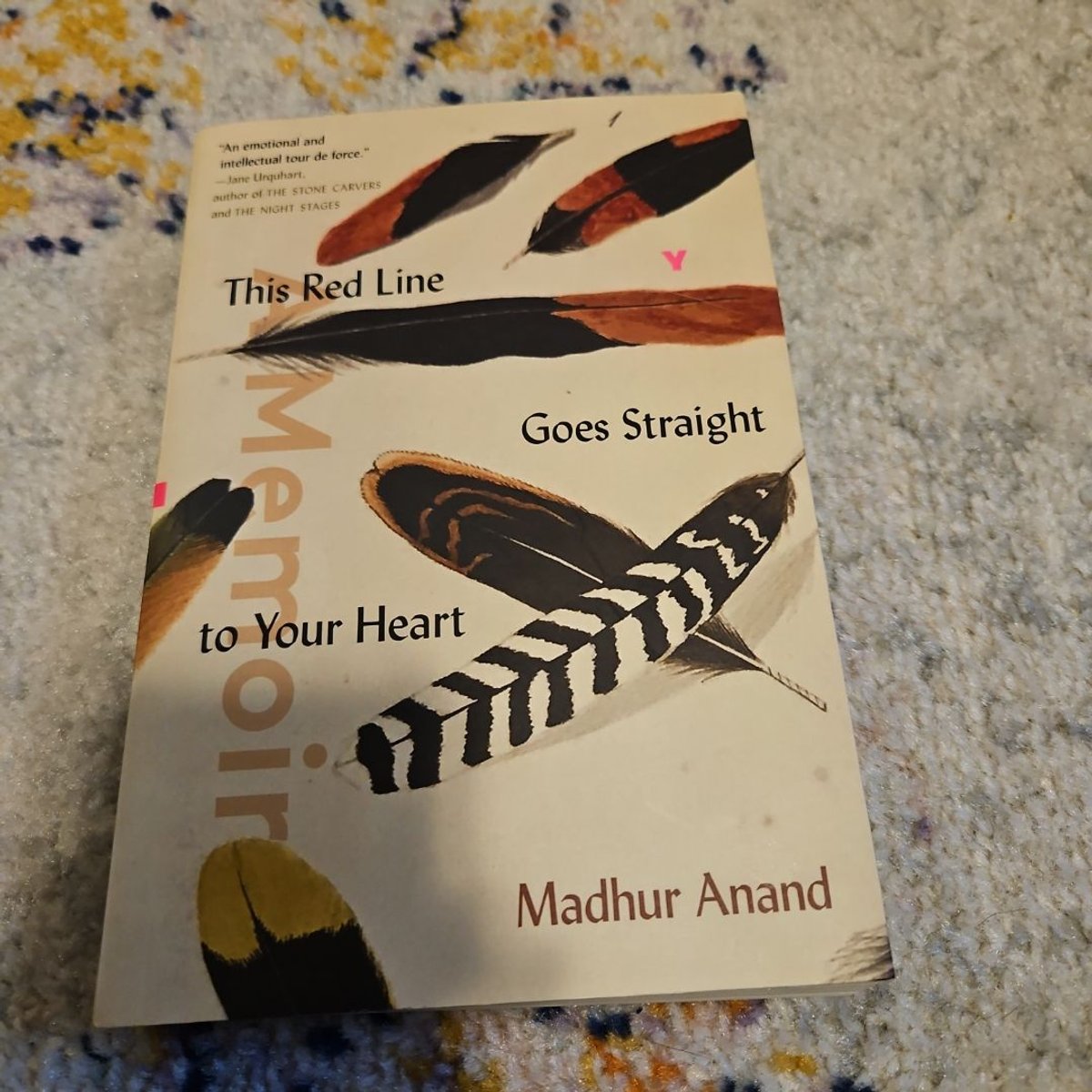 This Red Line Goes Straight to Your Heart by Madhur Anand