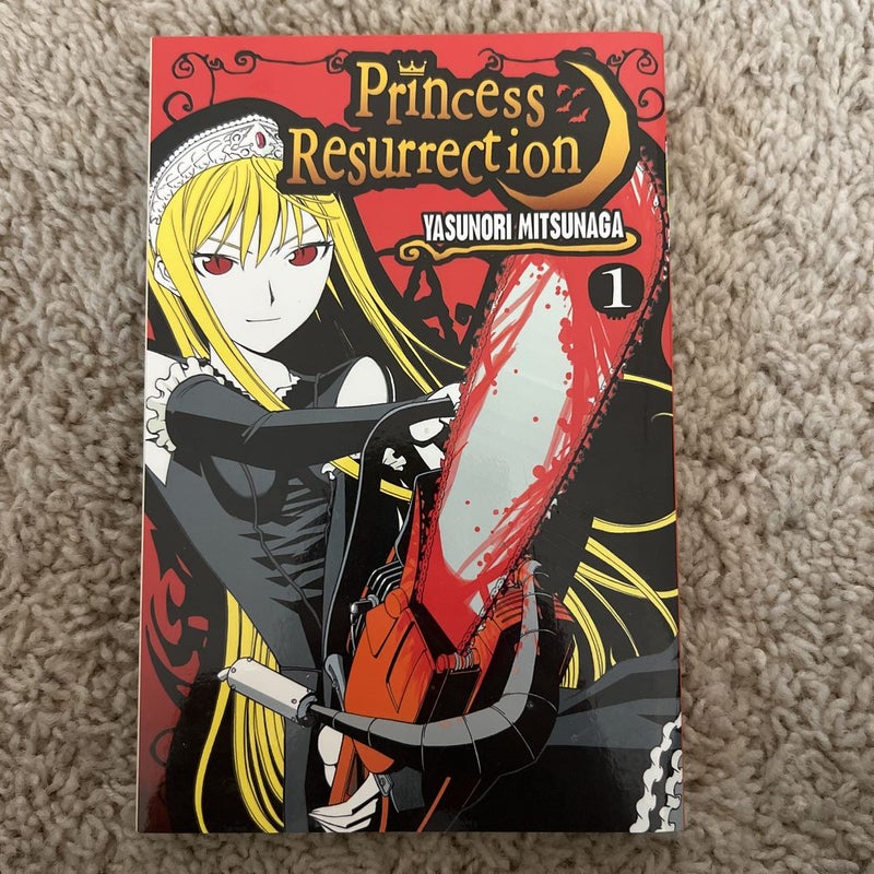 Princess Resurrection by Yasunori Mitsunaga, Paperback | Pangobooks