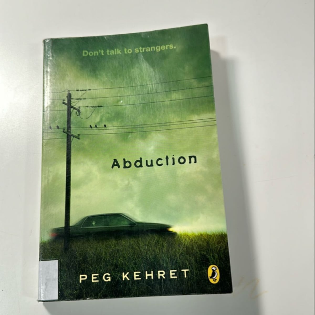 Abduction! by Peg Kehret