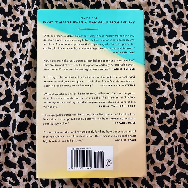 What It Means When a Man Falls from the Sky by Lesley Nneka Arimah