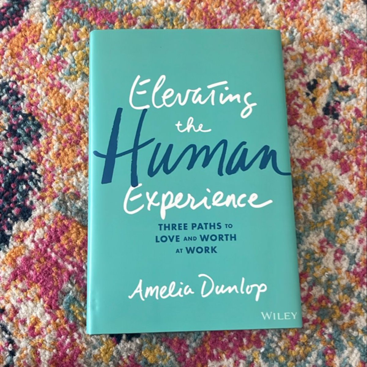 Elevating the Human Experience by Amelia Dunlop