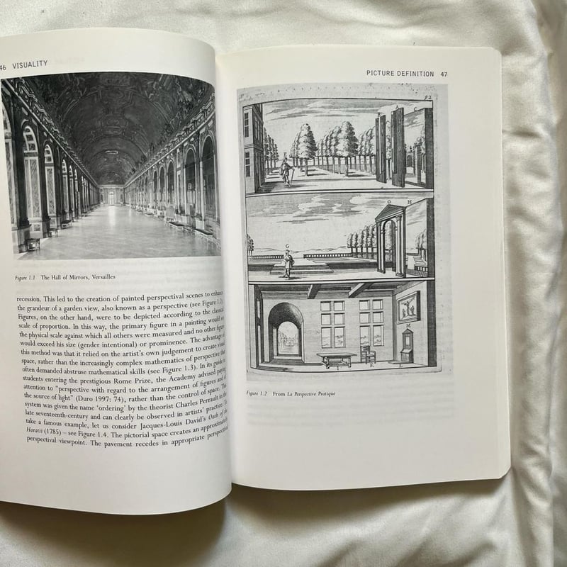 Introduction to Visual Culture by Nicholas Mirzoeff