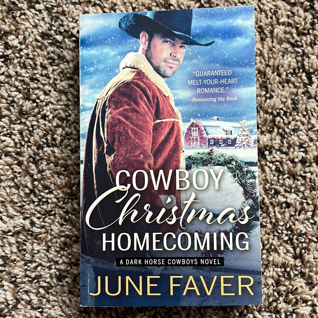 Cowboy Christmas Homecoming by June Faver, Paperback | Pangobooks