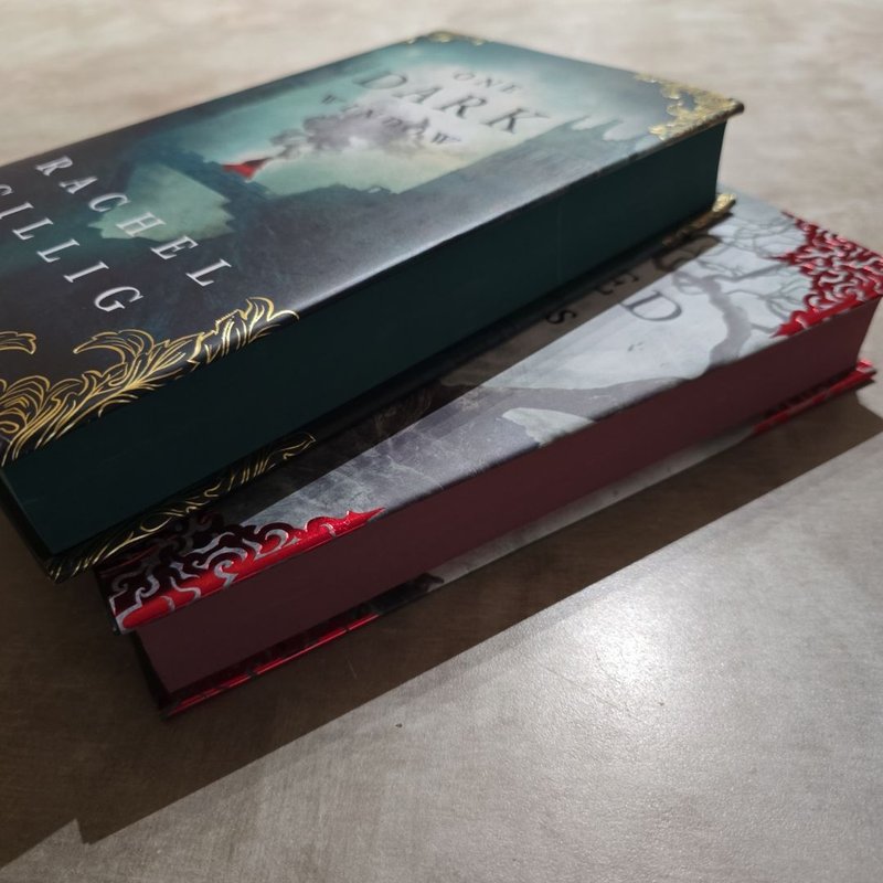 One Dark Window / Two Twisted Crowns Fairyloot (Shepherd King Duology ...