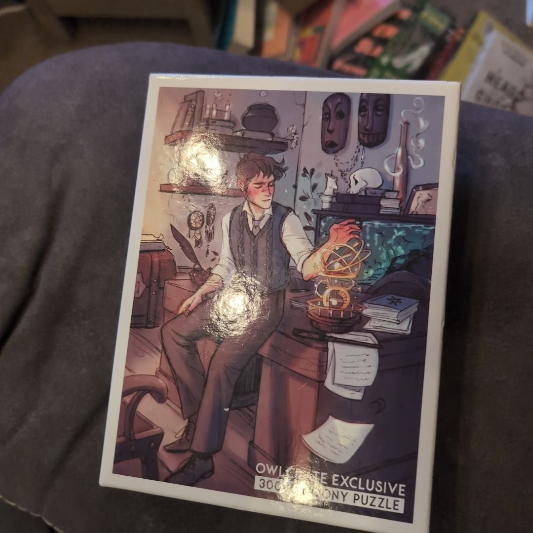 300 piece puzzle owl crate exclusive by Atalienart, Paperback | Pangobooks