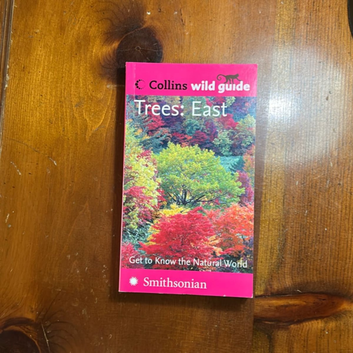 Trees: East (Collins Wild Guide) by Steve Cafferty