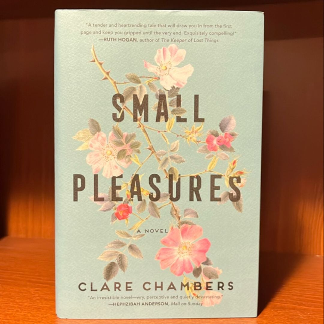 Small Pleasures by Clare Chambers, Hardcover | Pangobooks
