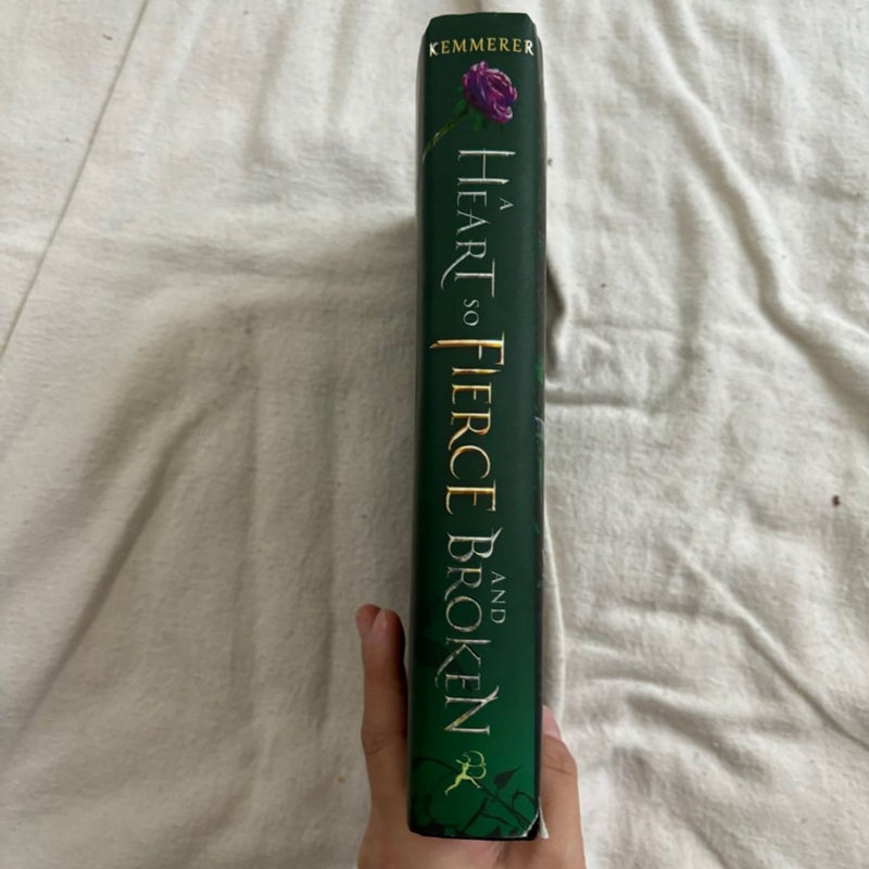 A Heart So Fierce and Broken by Brigid Kemmerer